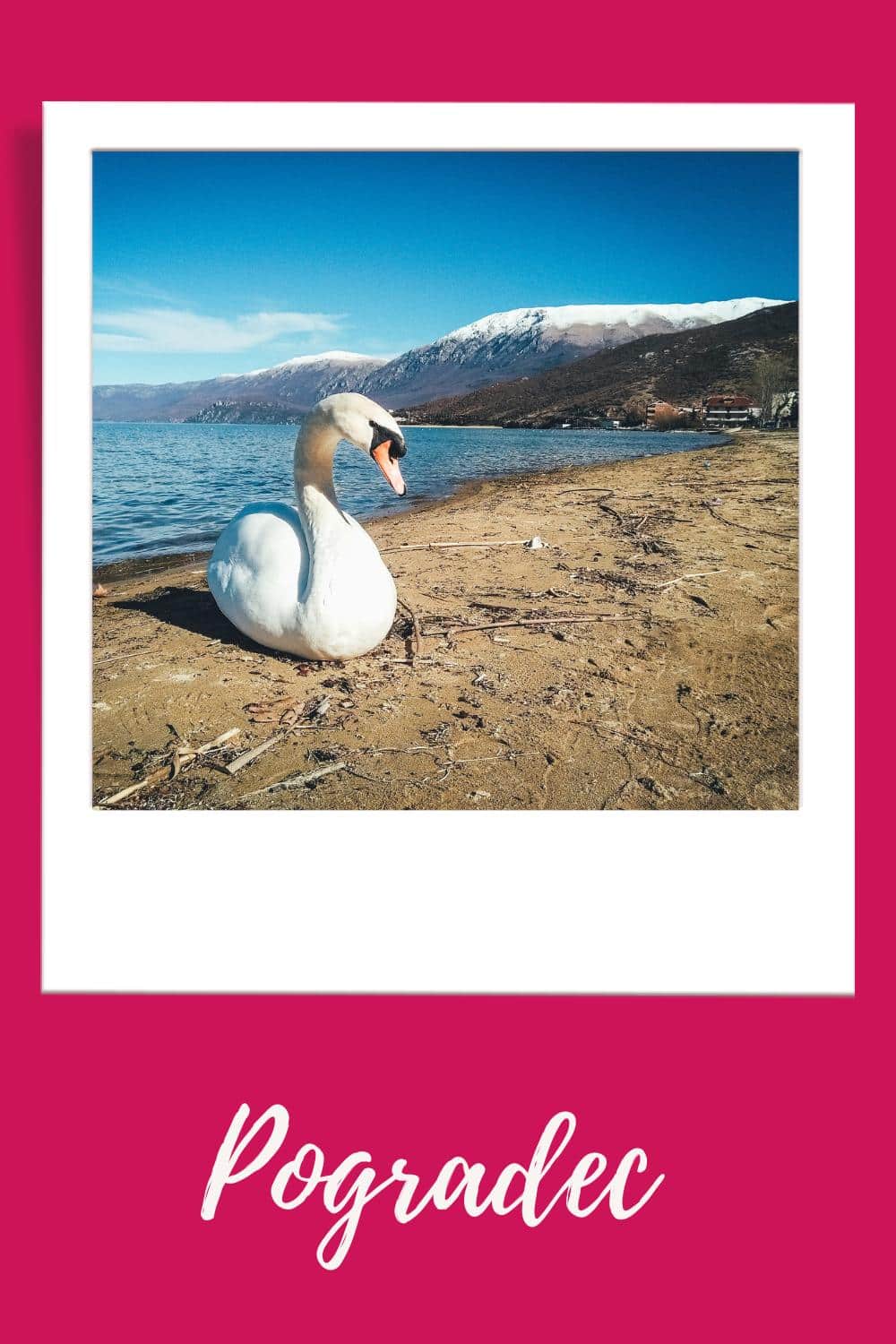 Pogradec Christmas Market 2026: Winter at Lake Ohrid